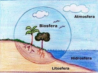 O que é Biosfera? As divisões, as características e sua importância