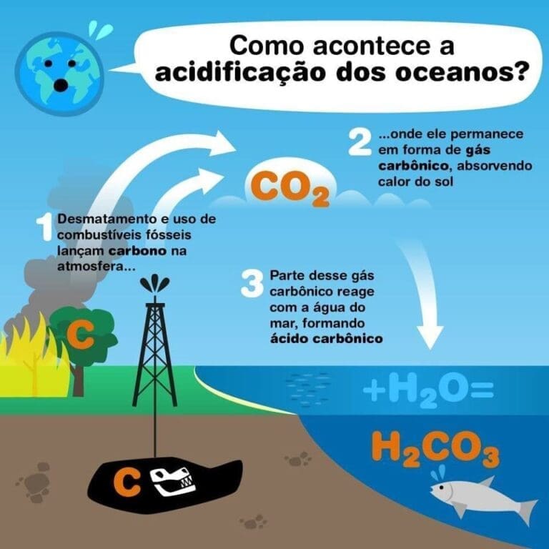 Acidificação dos oceanos - O que é, causas e consequências