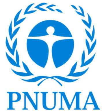 PNUMA: Programa das Nações Unidas para o Meio Ambiente