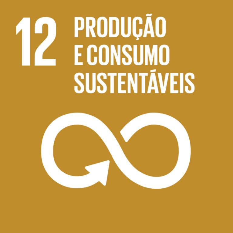 ODS 12 - Consumo e Produção Responsáveis - Metas e avanços