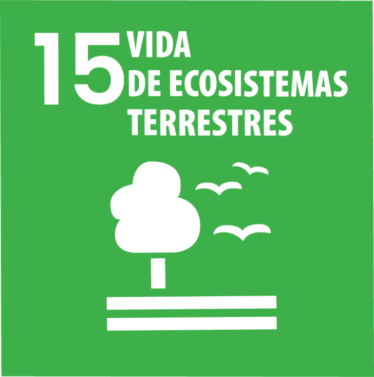 ODS 15 - Vida Terrestre - O que é, metas e desafios no Brasil