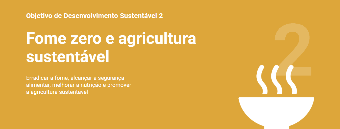 ODS 2: Fome Zero e Agricultura Sustentável, metas e desafios