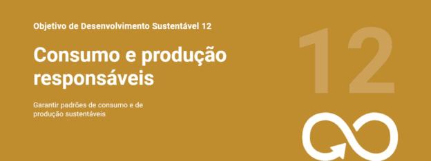 ODS 12 - Consumo e Produção Responsáveis - Metas e avanços