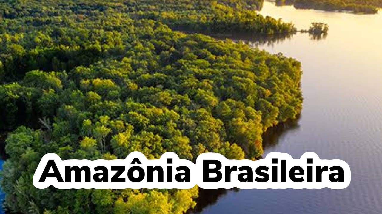 Biomas do Brasil - completo com mapas e as características