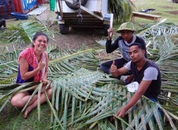 Extrativismo Vegetal - O que é, tipos, vantagens e desvantagens