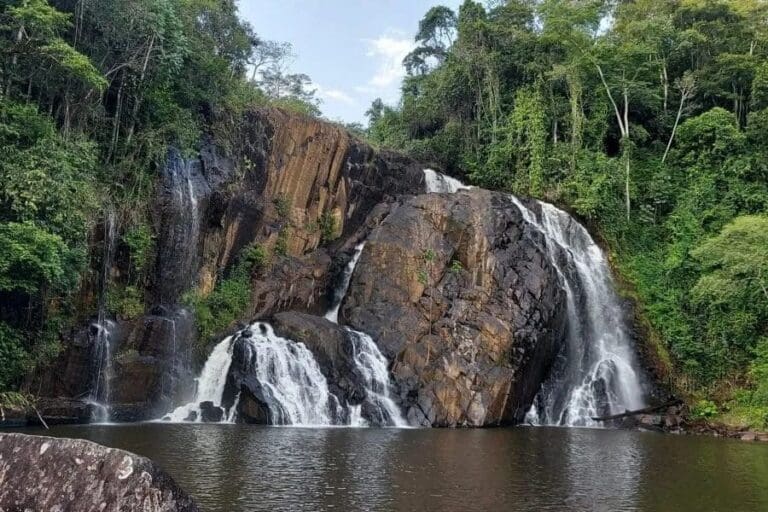 Parque Nacional de Boa Nova - história e biodiversidade